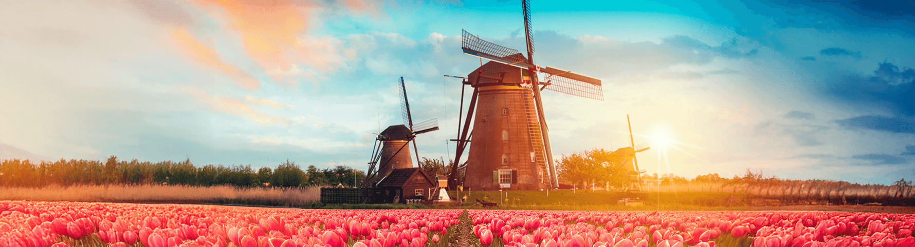 The Dutch Shop – The Dutch Shop